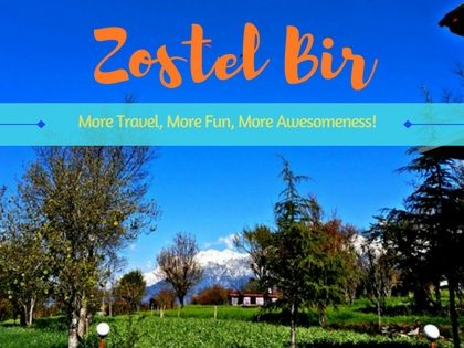 Volunteering At Zostel - To Awesome Experiences!