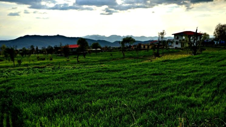 25 Awesome Things To Do in Bir Billing Other Than Paragliding (+ Tips)