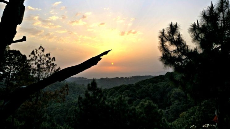 25 Awesome Things To Do in Bir Billing Other Than Paragliding (+ Tips)