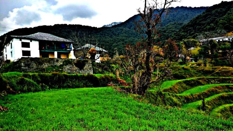 Bir Billing - Living In the Serene Village of Kangra, Himachal