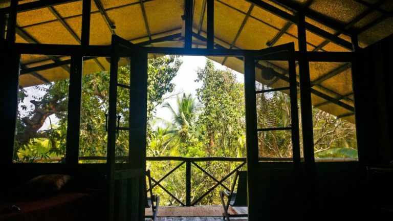Olaulim Backyards - Experiencing Goa's Mandovi Backwaters