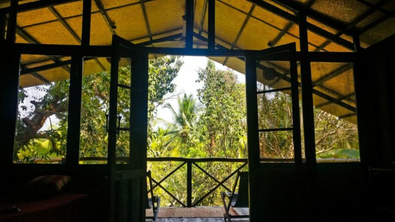 Olaulim Backyards - Experiencing Goa's Mandovi Backwaters