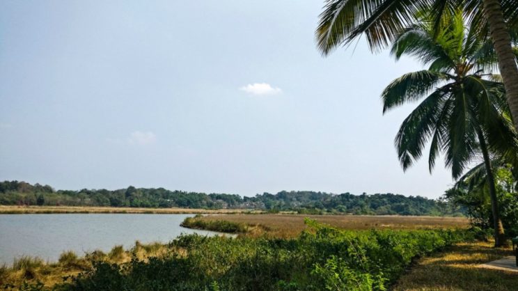 Olaulim Backyards - Experiencing Goa's Mandovi Backwaters