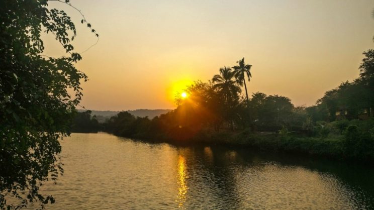 Olaulim Backyards - Experiencing Goa's Mandovi Backwaters