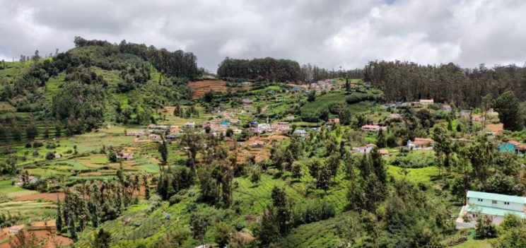 Offbeat Ooty - Holidaying Differently At Sterling Ooty Fern Hill!