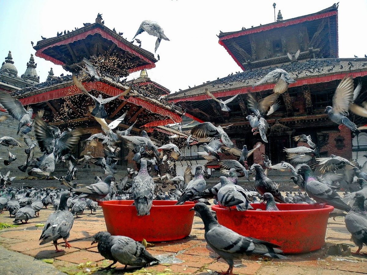 75 Nepal Quotes To Make You Love the Roof of the World