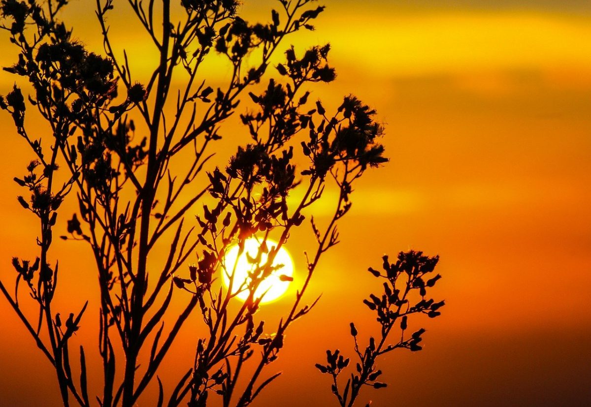 425 Sunset Captions For Instagram That Describe its Ultimate Beauty