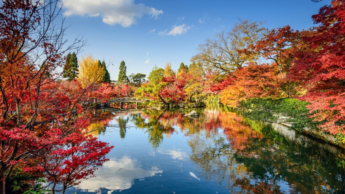 Kyoto 2 Day Itinerary - The Epic Guide You Need To Explore