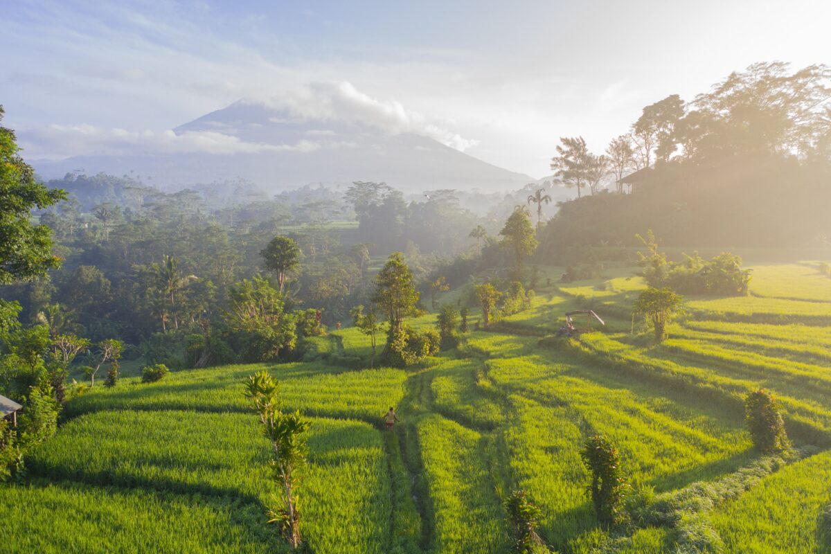 75 Bali Quotes to Fall in Love With This Tropical Paradise