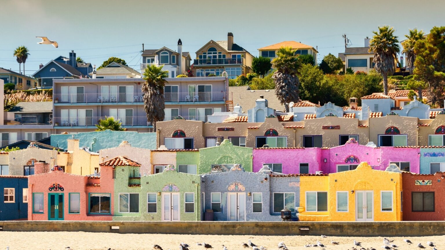 125 Quotes About California To Inspire A Trip & Captions for Instagram
