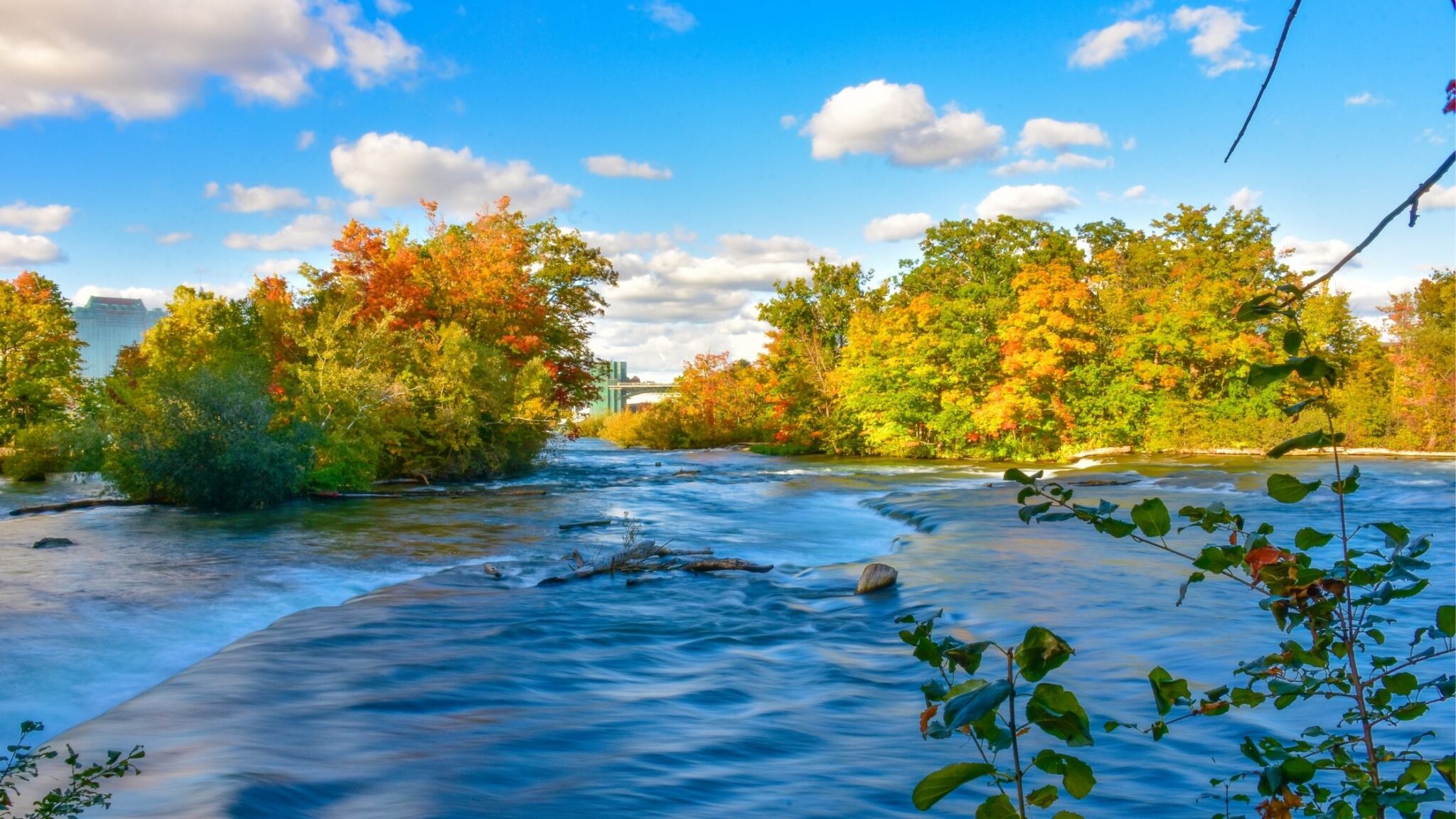 175 Waterfall Quotes to Inspire Nature & Adventure Lovers For a Trip