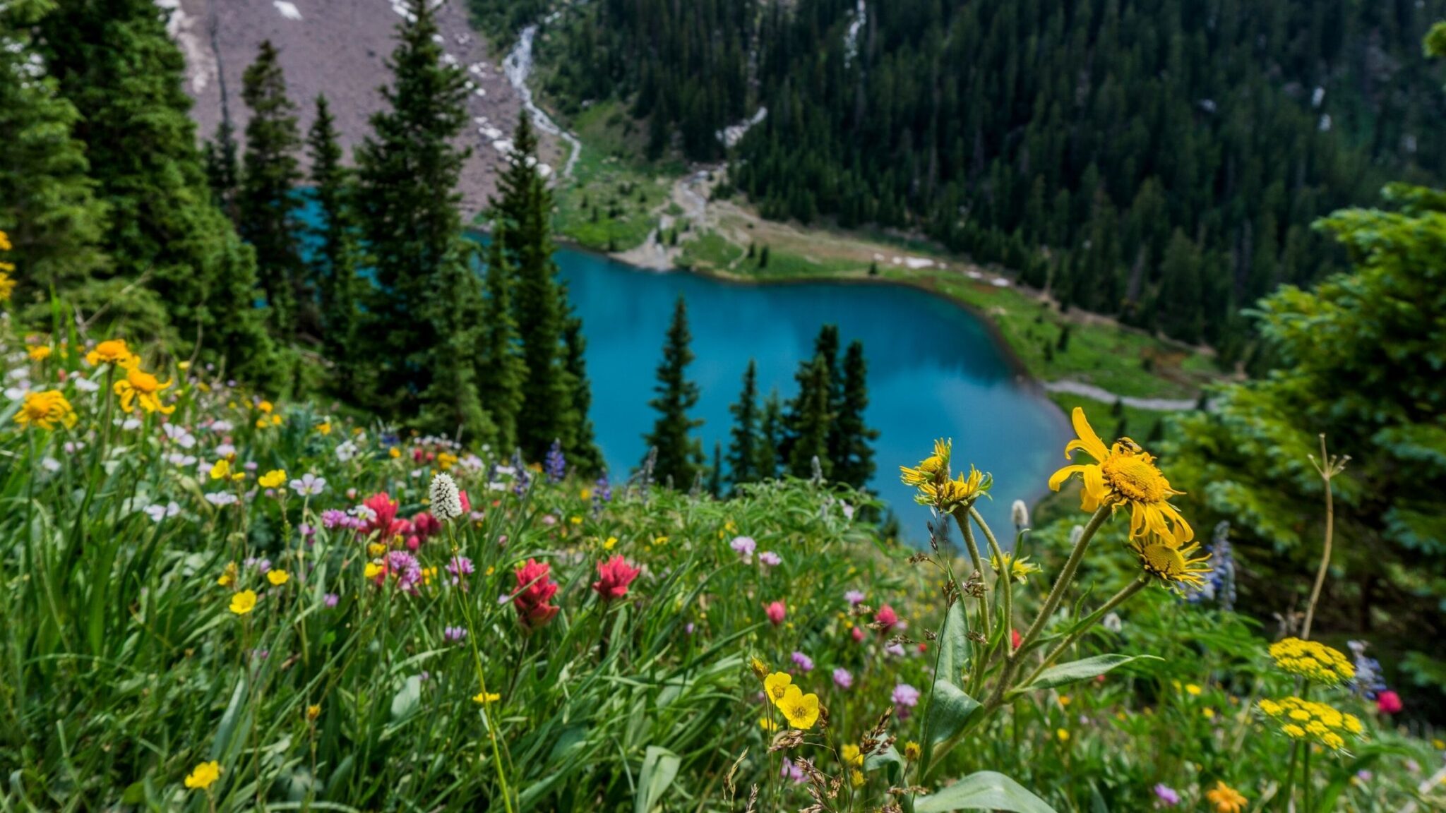 215 Quotes About Colorado To Love Land of The Rockies