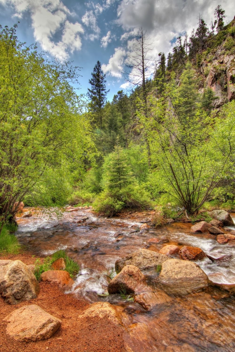215 Quotes About Colorado To Love Land of The Rockies