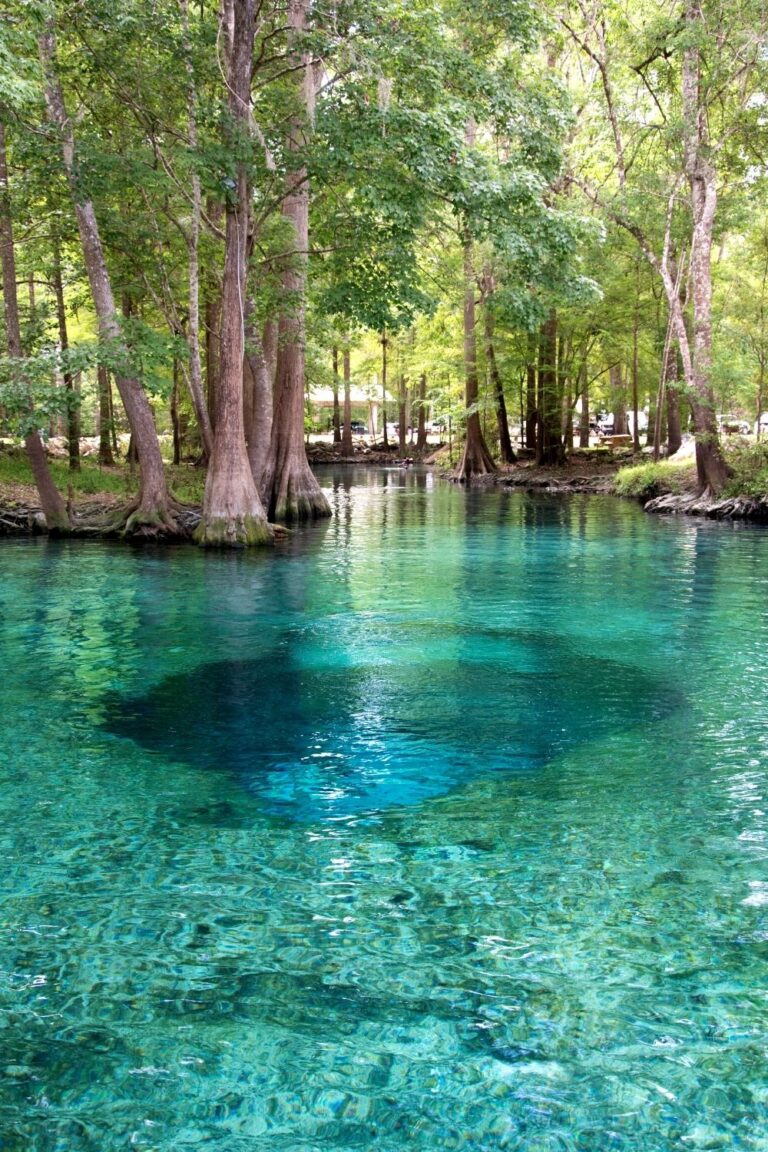 135 Florida Quotes To Inspire a Trip to the State of Sunshine