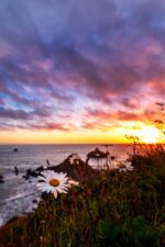 125 Quotes About California To Inspire A Trip & Captions for Instagram