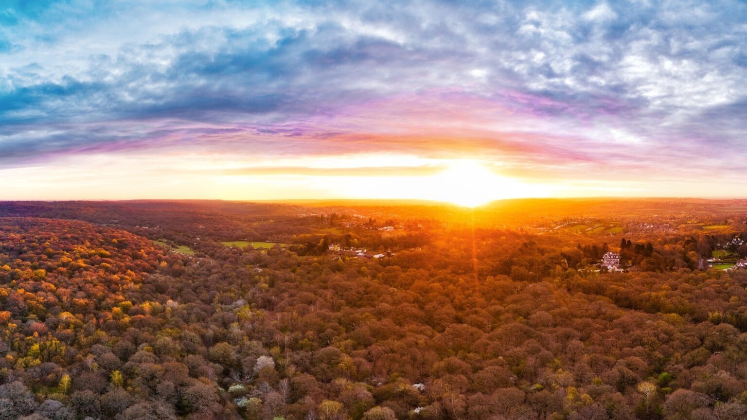 Epping Forest Walks - A Splendid Getaway From London For Hikes