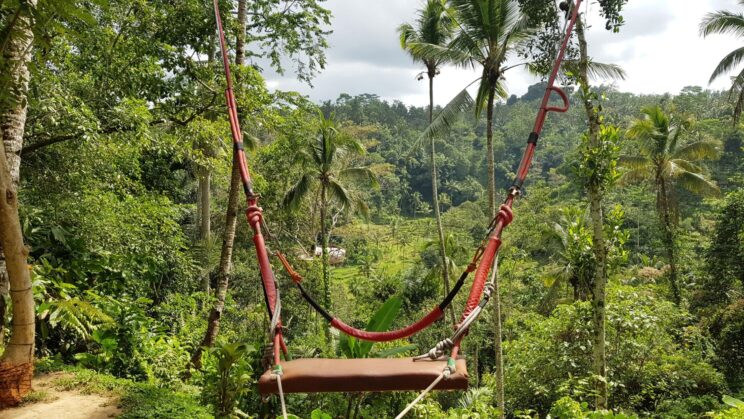 Swing In Bali - 14 Best Bali Swings For Instagram & Adventure
