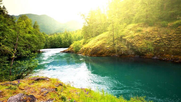 135 Quotes About River And Streams For Perfect Photo Captions