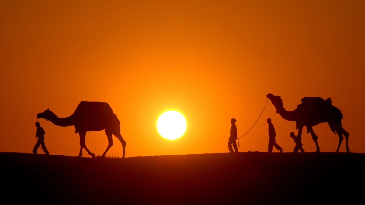 125 Desert Quotes For Instagram Captions That Define Its Beauty