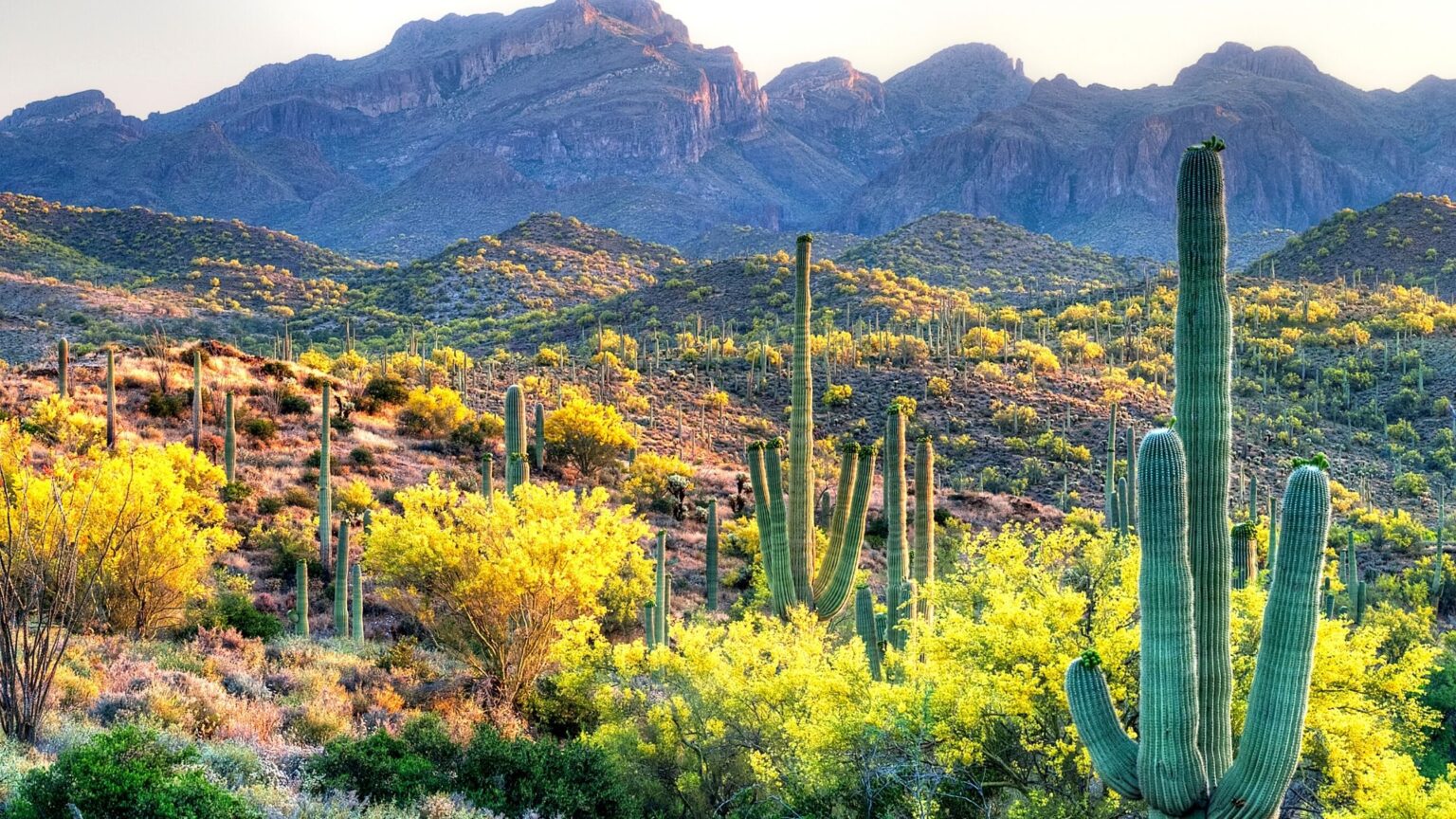 125 Desert Quotes For Instagram Captions That Define Its Beauty