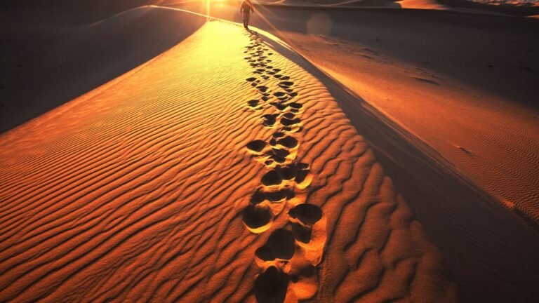 125 Desert Quotes For Instagram Captions That Define Its Beauty