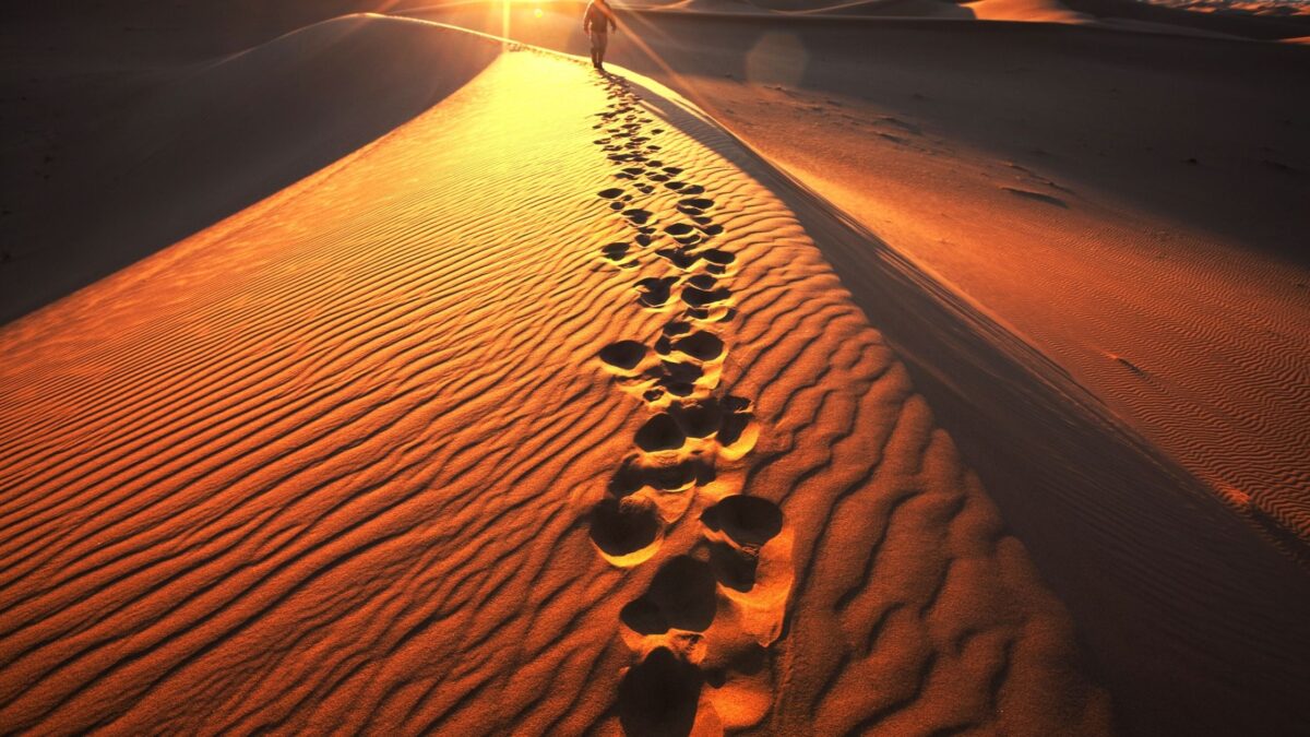 125 Desert Quotes For Instagram Captions That Define Its Beauty