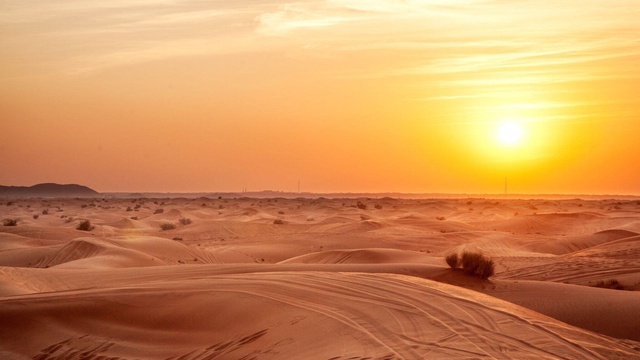 125 Desert Quotes For Instagram Captions That Define Its Beauty