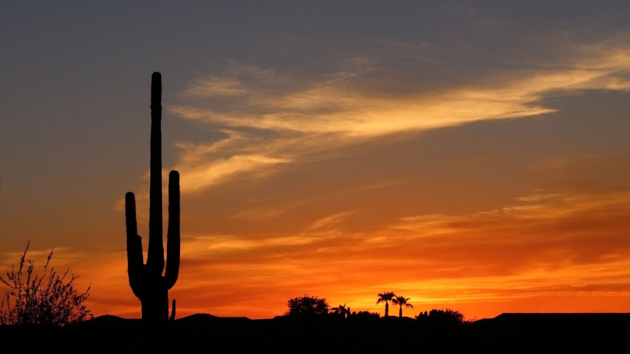 125 Desert Quotes For Instagram Captions That Define Its Beauty