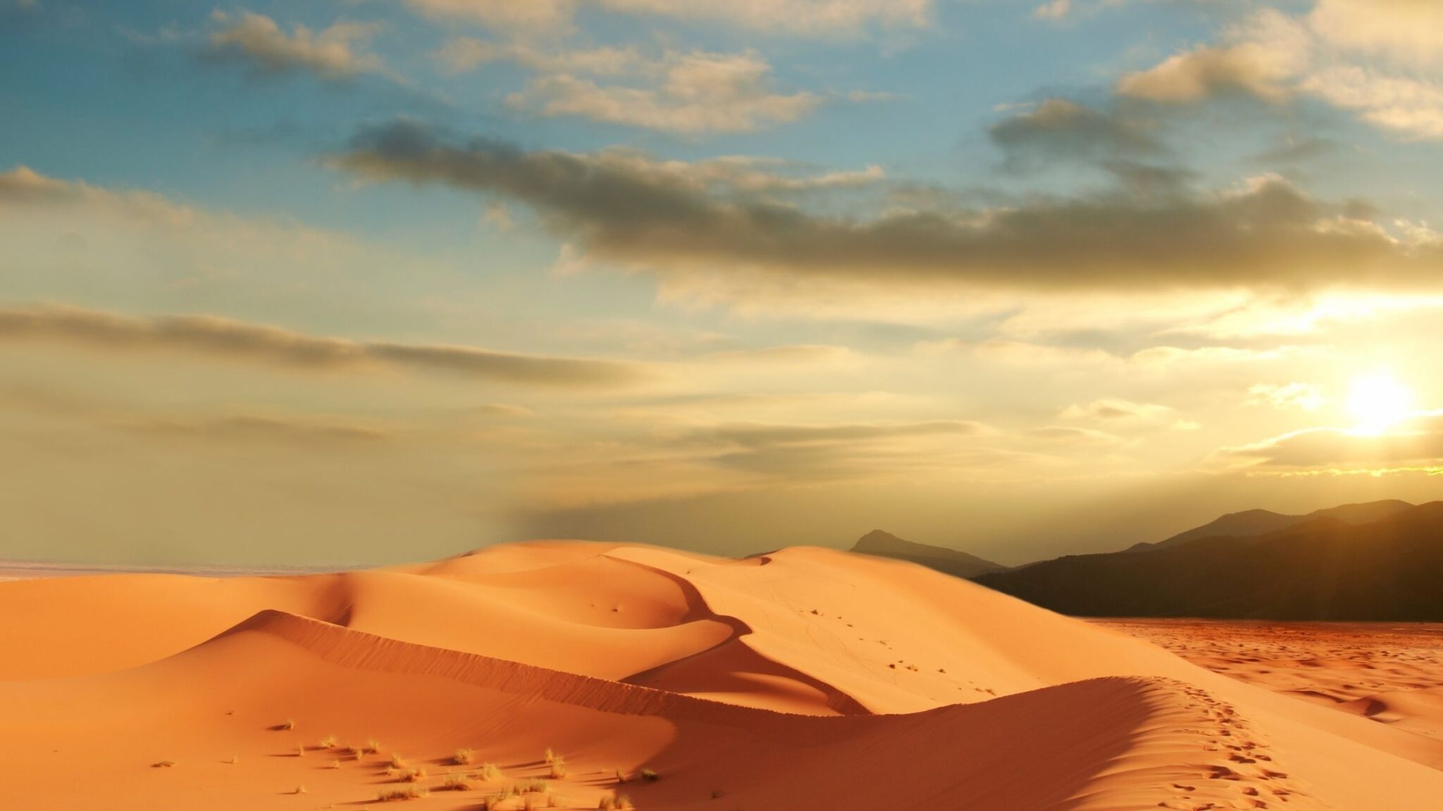 125 Desert Quotes For Instagram Captions That Define Its Beauty