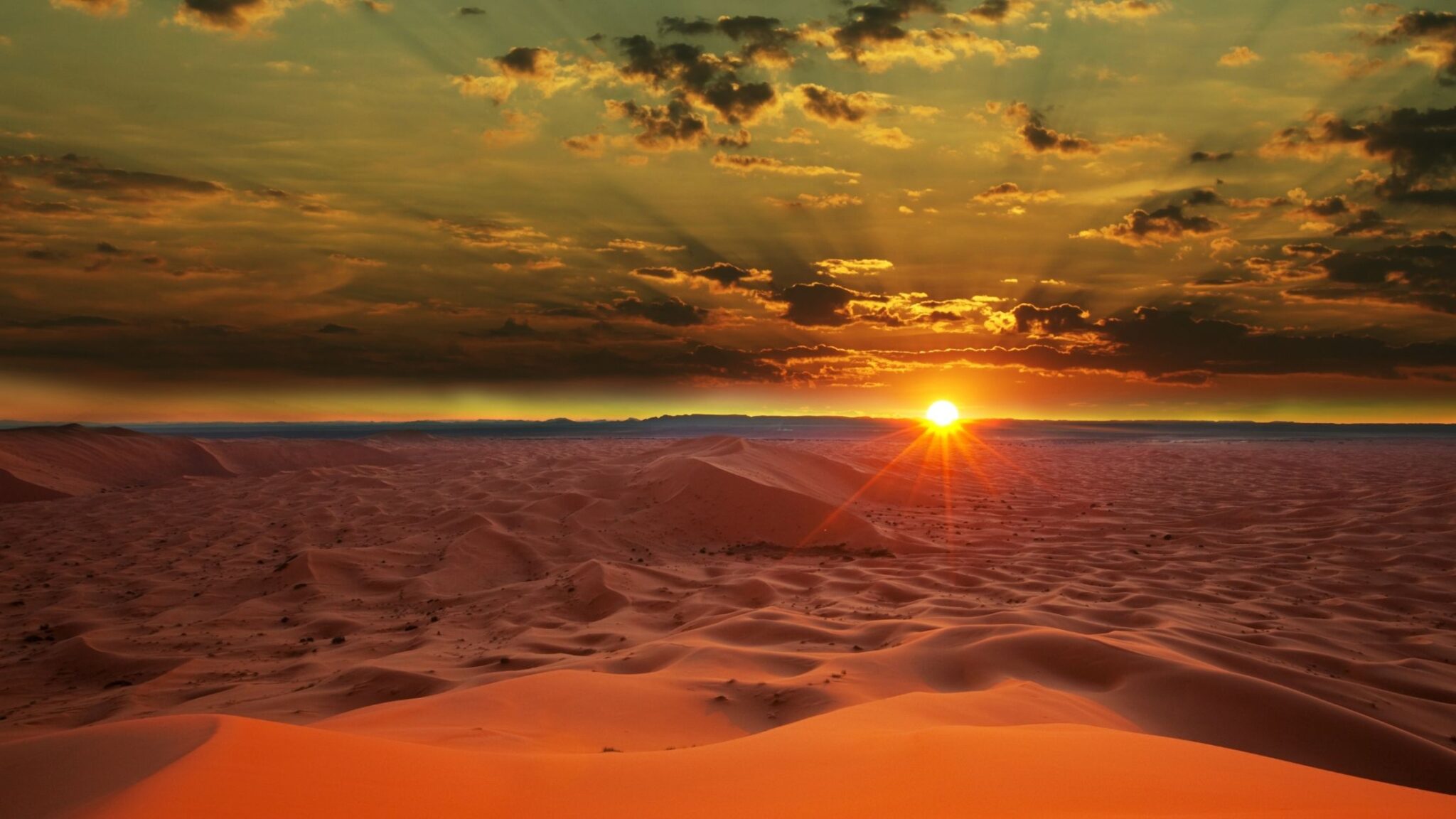 125 Desert Quotes For Instagram Captions That Define Its Beauty