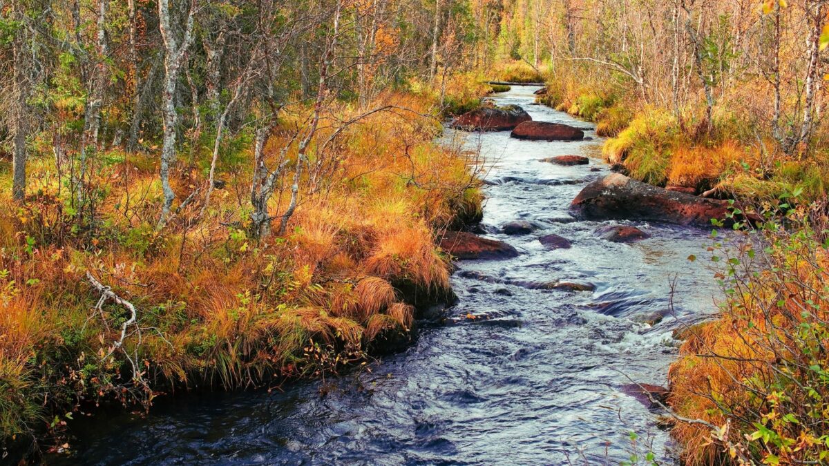 135 Quotes About River And Streams For Perfect Photo Captions