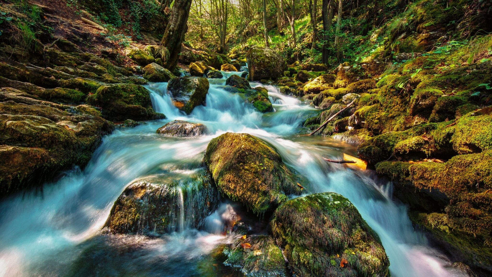 135 Quotes About River And Streams For Perfect Photo Captions
