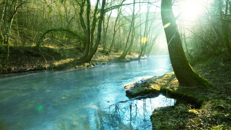 135 Quotes About River And Streams For Perfect Photo Captions