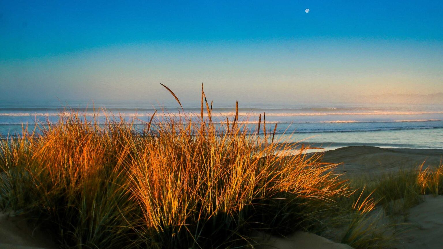35 Best Things to do in San Luis Obispo California - An Offbeat Getaway