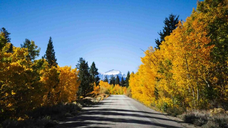 21 Things To Do In Lone Pine California On An Offbeat Weekend Trip