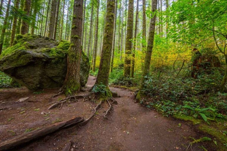 50 Best Hidden Vacation Spots in the US For Offbeat Travelers