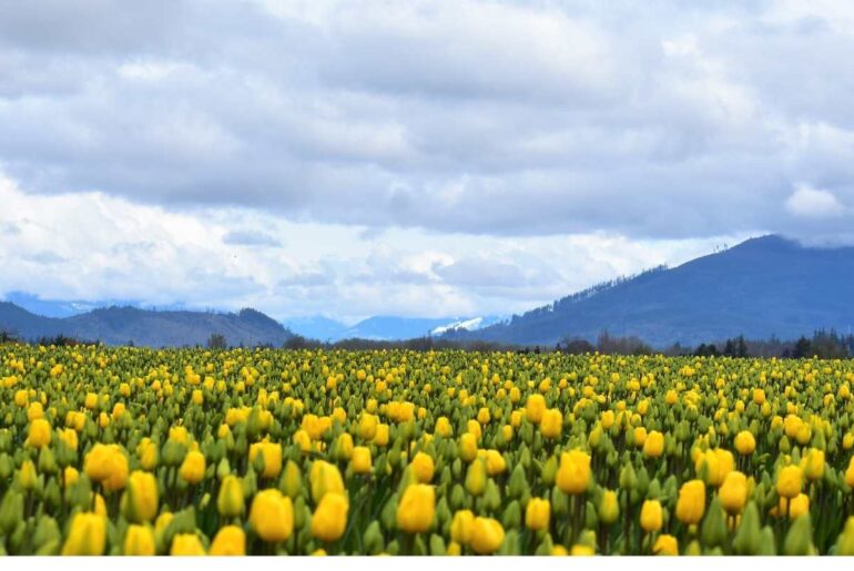 50 Best Hidden Vacation Spots in the US For Offbeat Travelers