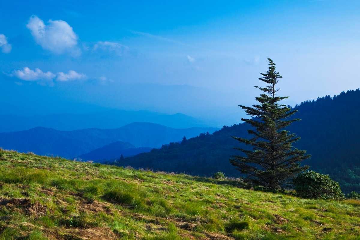 50 Best Hidden Vacation Spots in the US For Offbeat Travelers