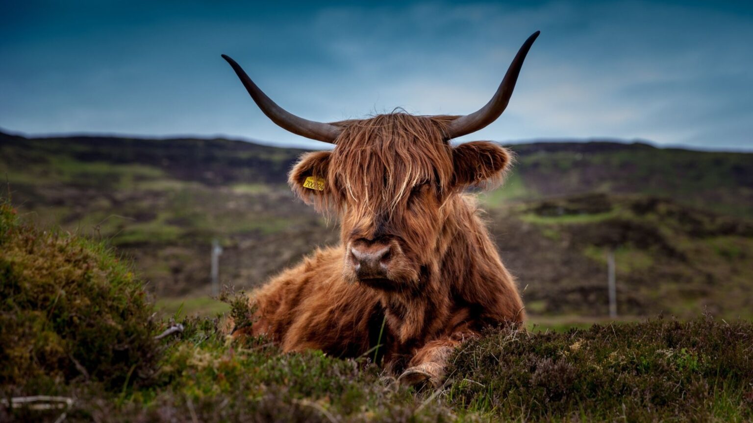 145 Interesting Facts About Scotland That You Ought To Know