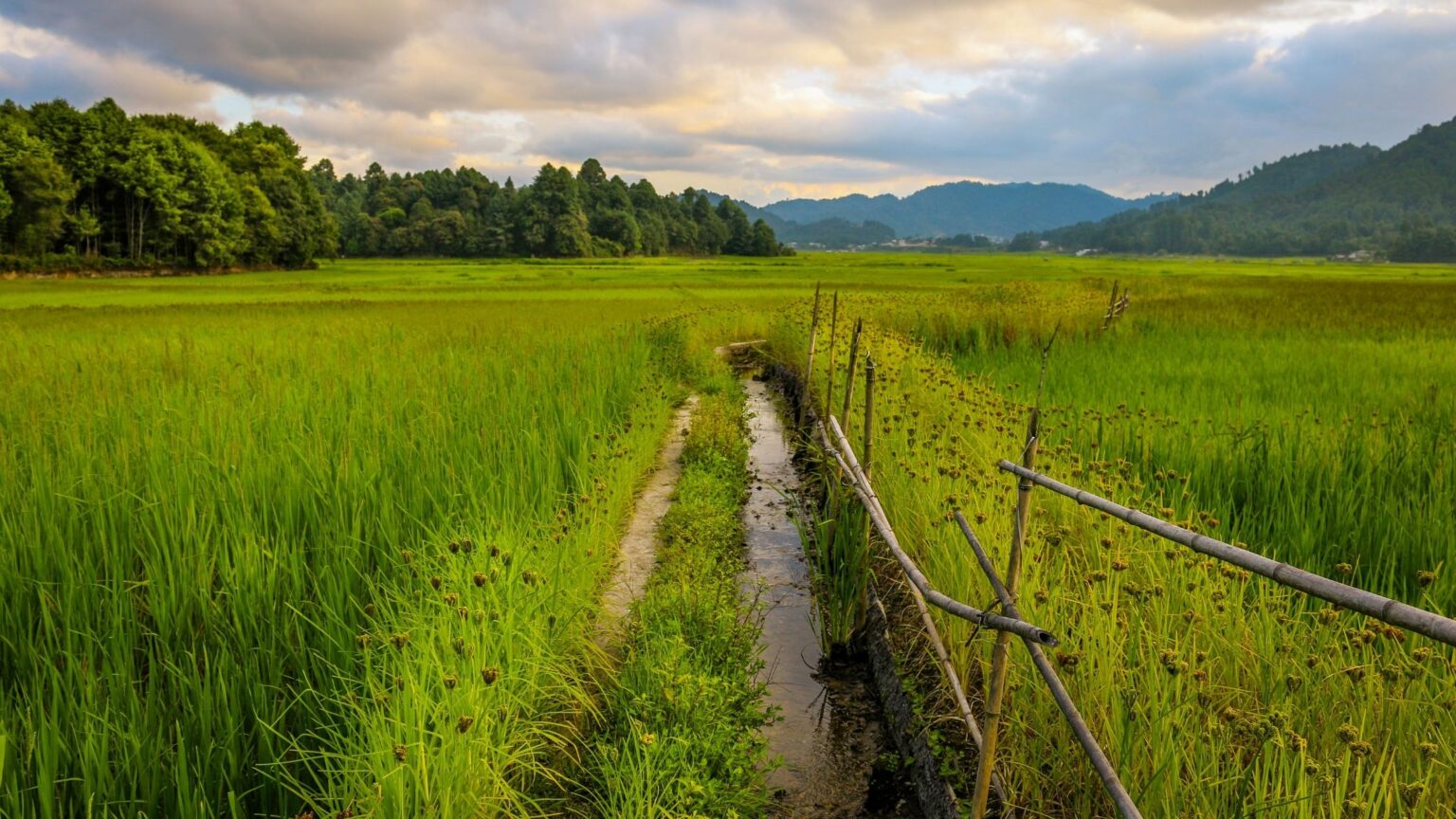 19 Best Festivals In Arunachal Pradesh You Should Attend In India