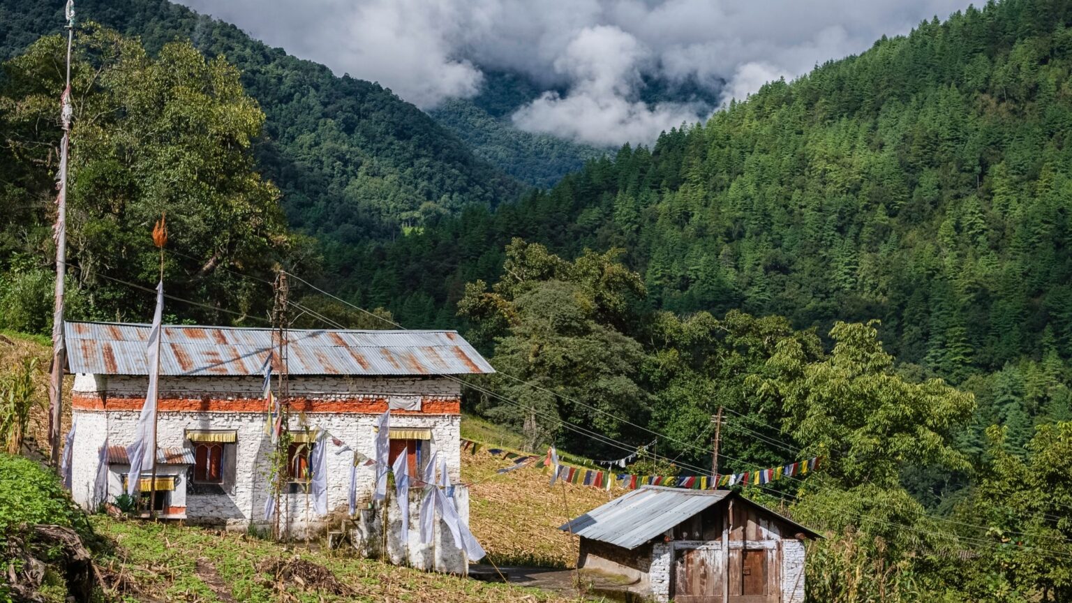 19 Best Festivals In Arunachal Pradesh You Should Attend In India