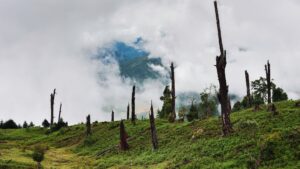 15 Best Places To Visit In Dirang Arunachal