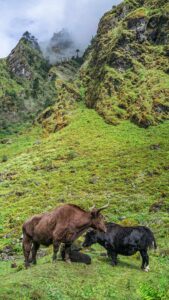 15 Best Places To Visit In Dirang Arunachal