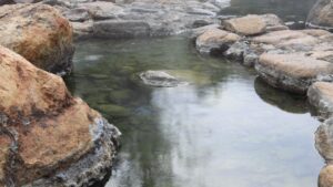 15 Best Places To Visit In Dirang Arunachal