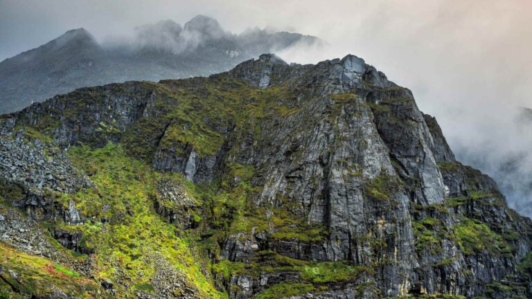 10 Best Wildlife Sanctuaries In Arunachal Pradesh To Visit On Your Trip