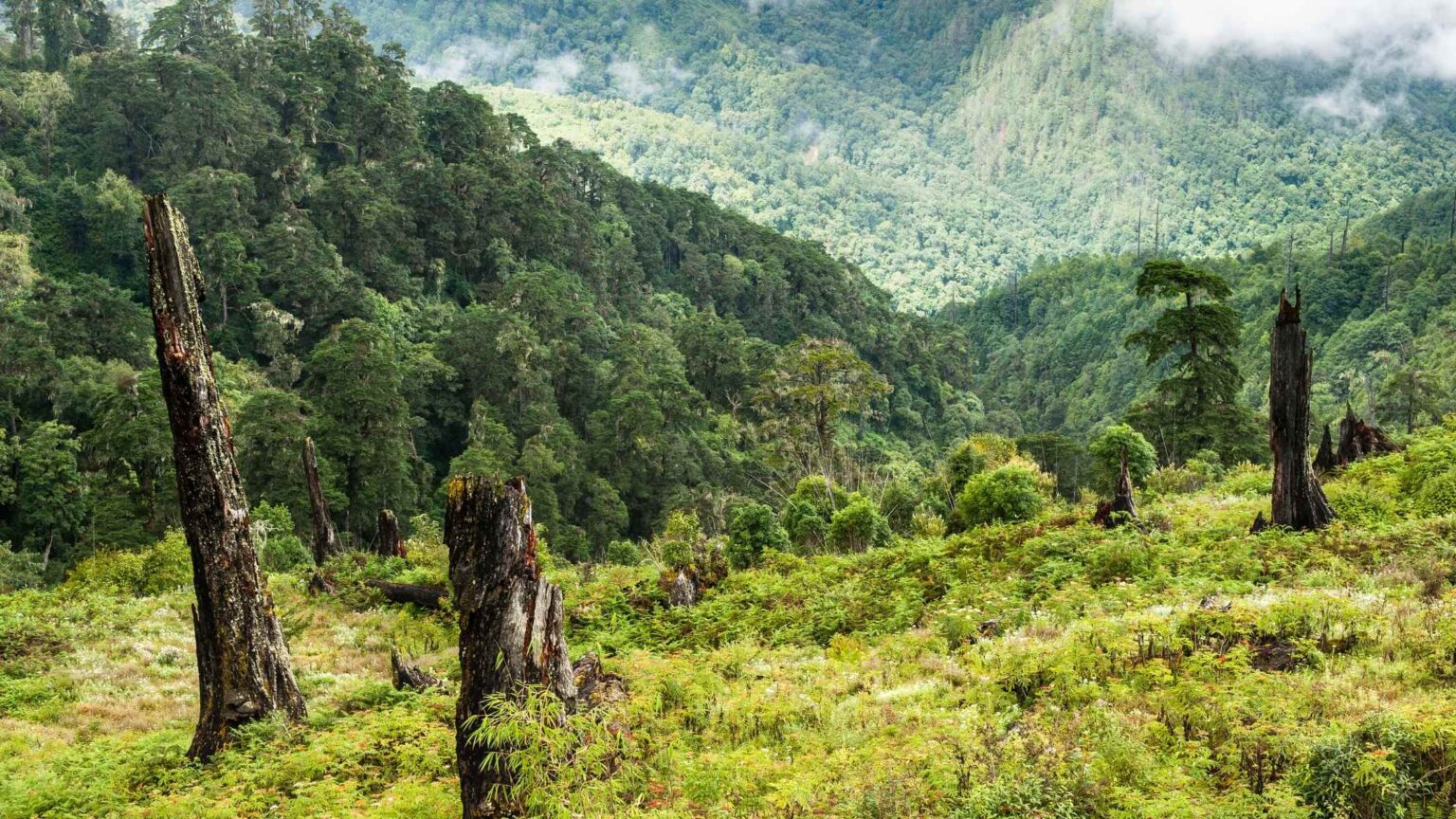 60 Interesting Facts About Arunachal Pradesh You Should Check Out