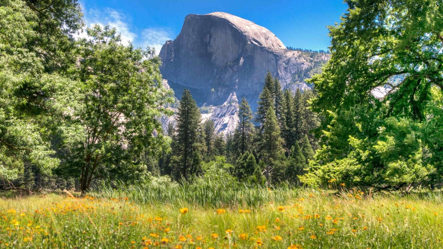 30 Spots For The Best Views In Yosemite National Park California