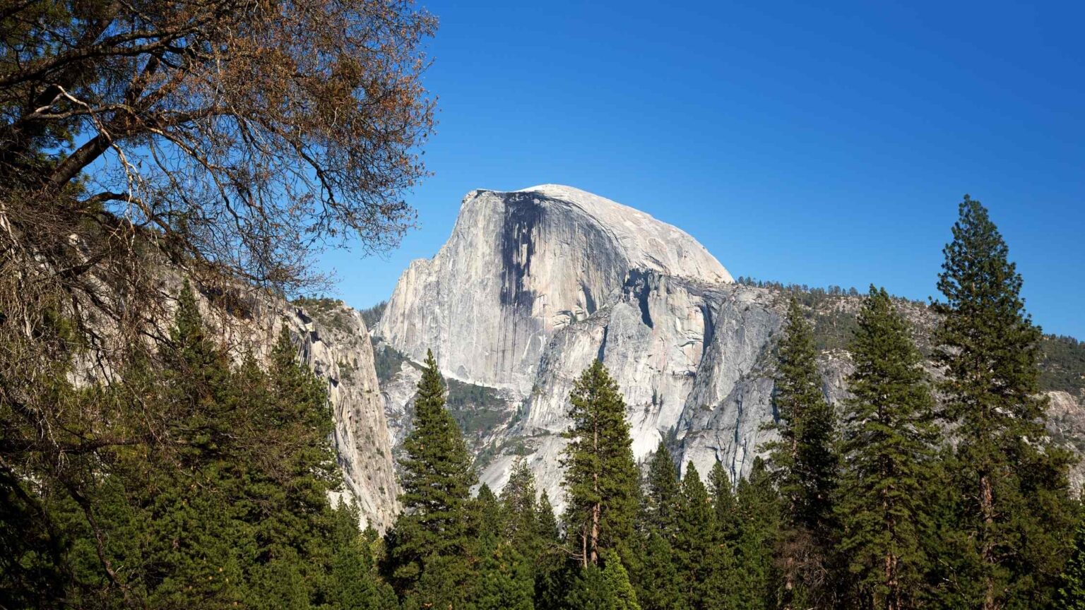 30 Spots For The Best Views In Yosemite National Park California