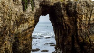 25 Best Hikes In Point Reyes In California You Should Plan