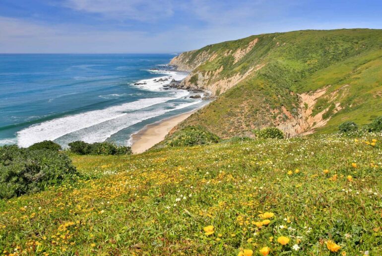 25 Best Hikes In Point Reyes In California You Should Plan